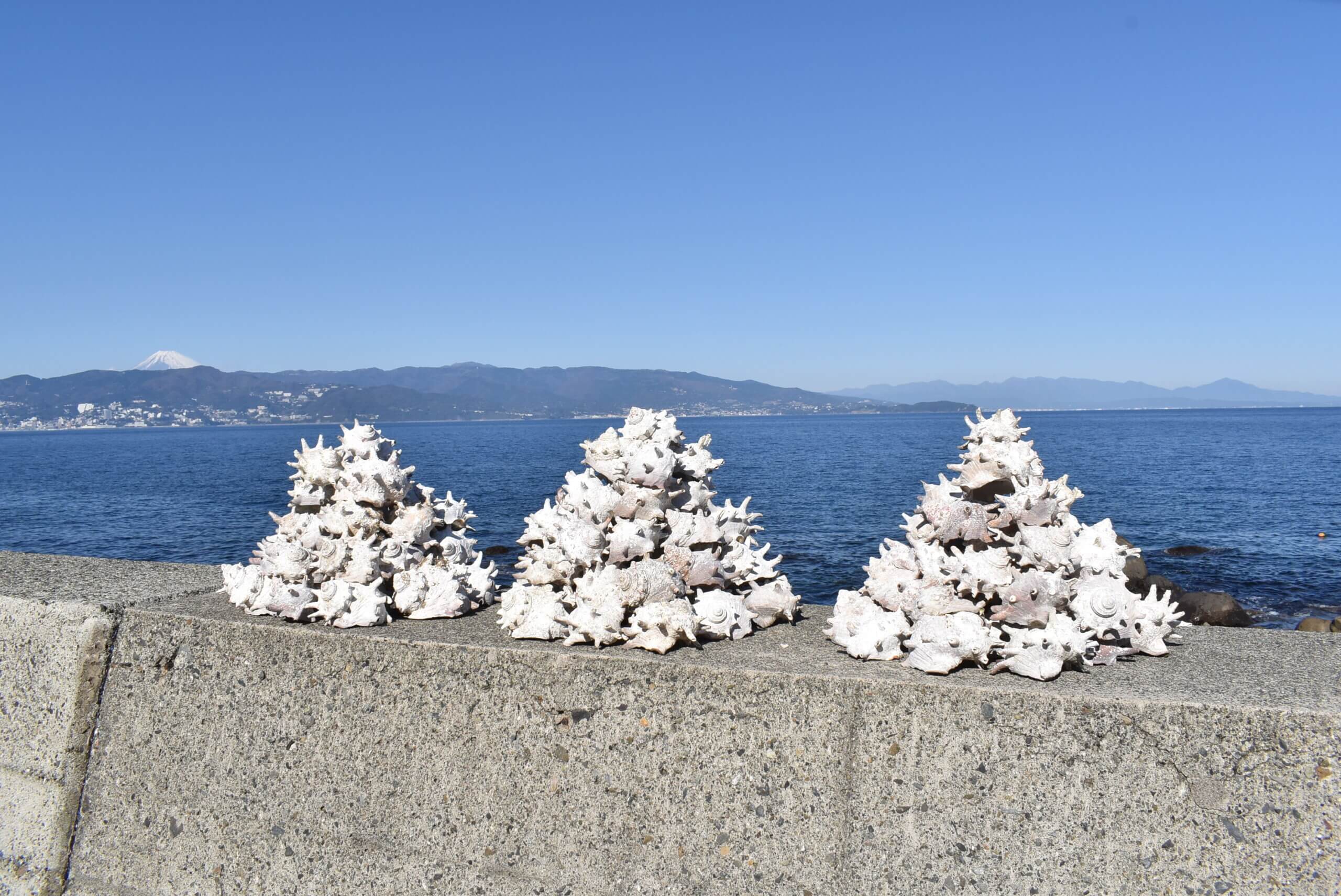 初島旅行 | ☆人生100年時代の第二の人生☆